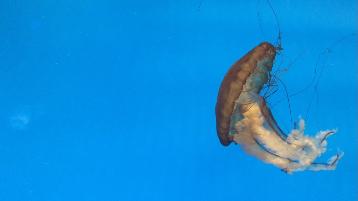 Losing Control (Poem) – What Matters